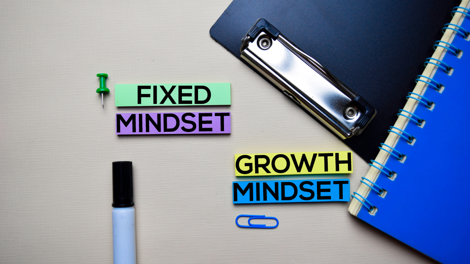 Perbedaan Fixed Mindset Dan Growth Mindset | KONSULTAN PELATIHAN KARYAWAN